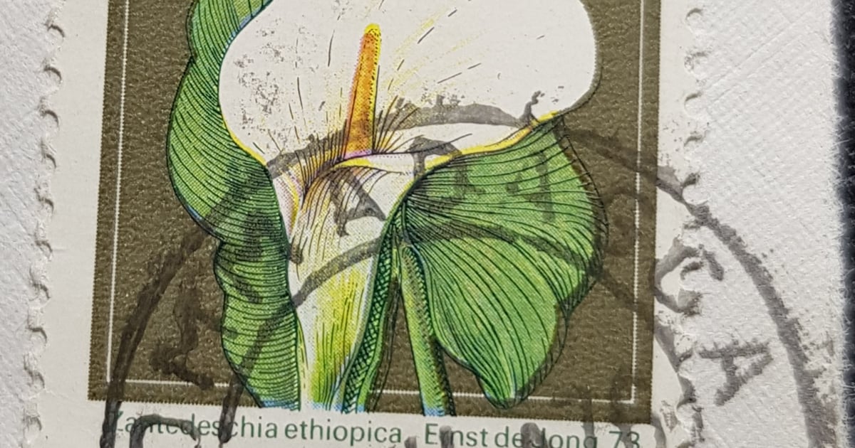 Kommadagga | Postmarks - ZAR