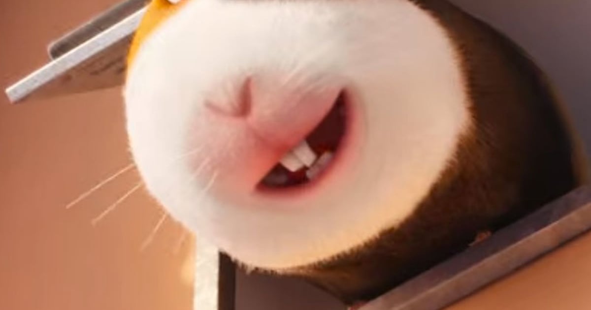 Norman | The Complete List of Secret Life of Pets Characters