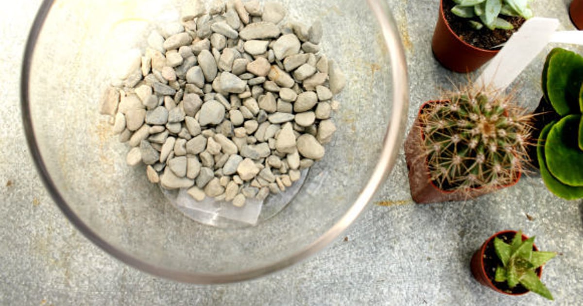 Rocks & pebbles | DIY Terrarium