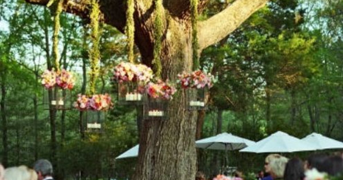 Finalize the order of the ceremony and the reception | Spring Wedding ...