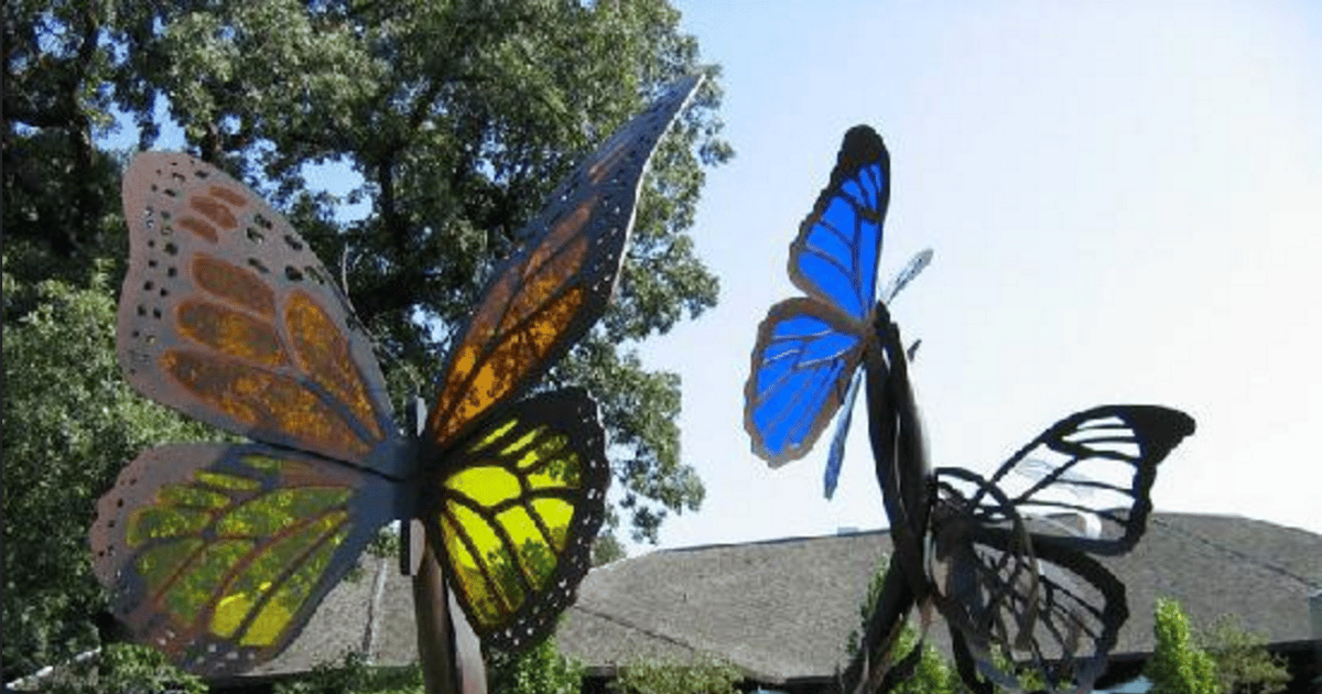 Berniece Grewcock Butterfly and Insect Pavilion | The Ultimate List of ...
